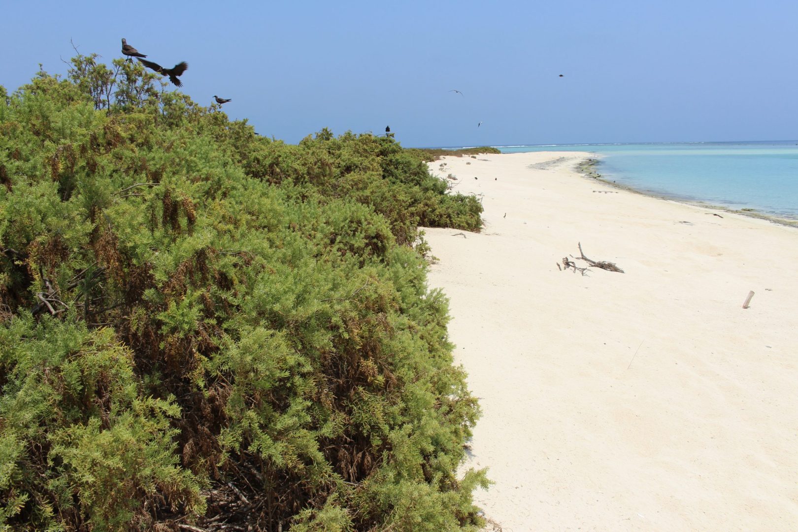 Al-Lith - Al-Ahlam Marine